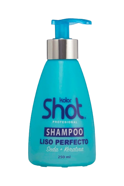 Shampoo Liso Perfecto 250ML – JJKALEX